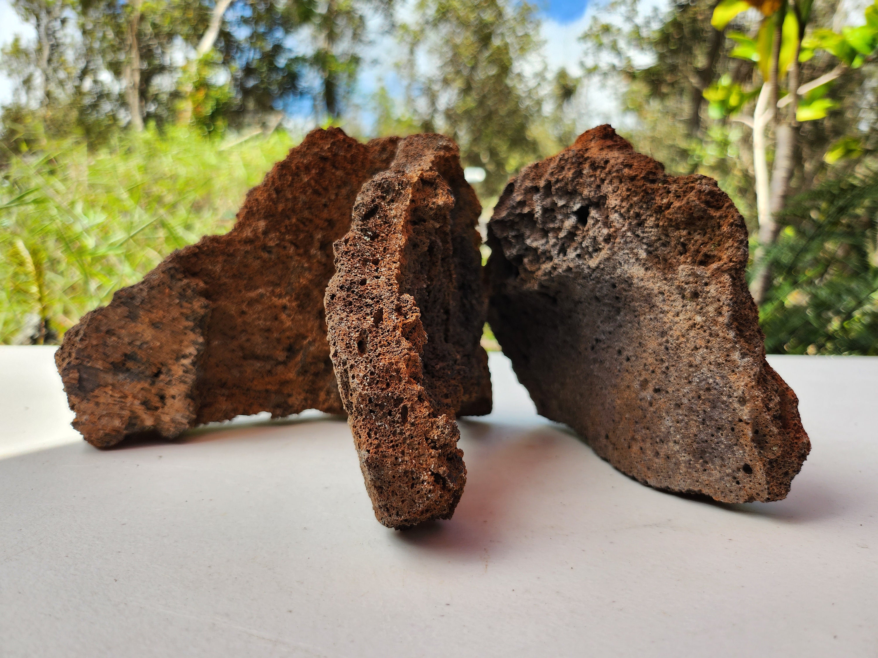 Red Hawaiian Lava Rock Aquarium Terrarium Reptile Fish Turtle Natural ...