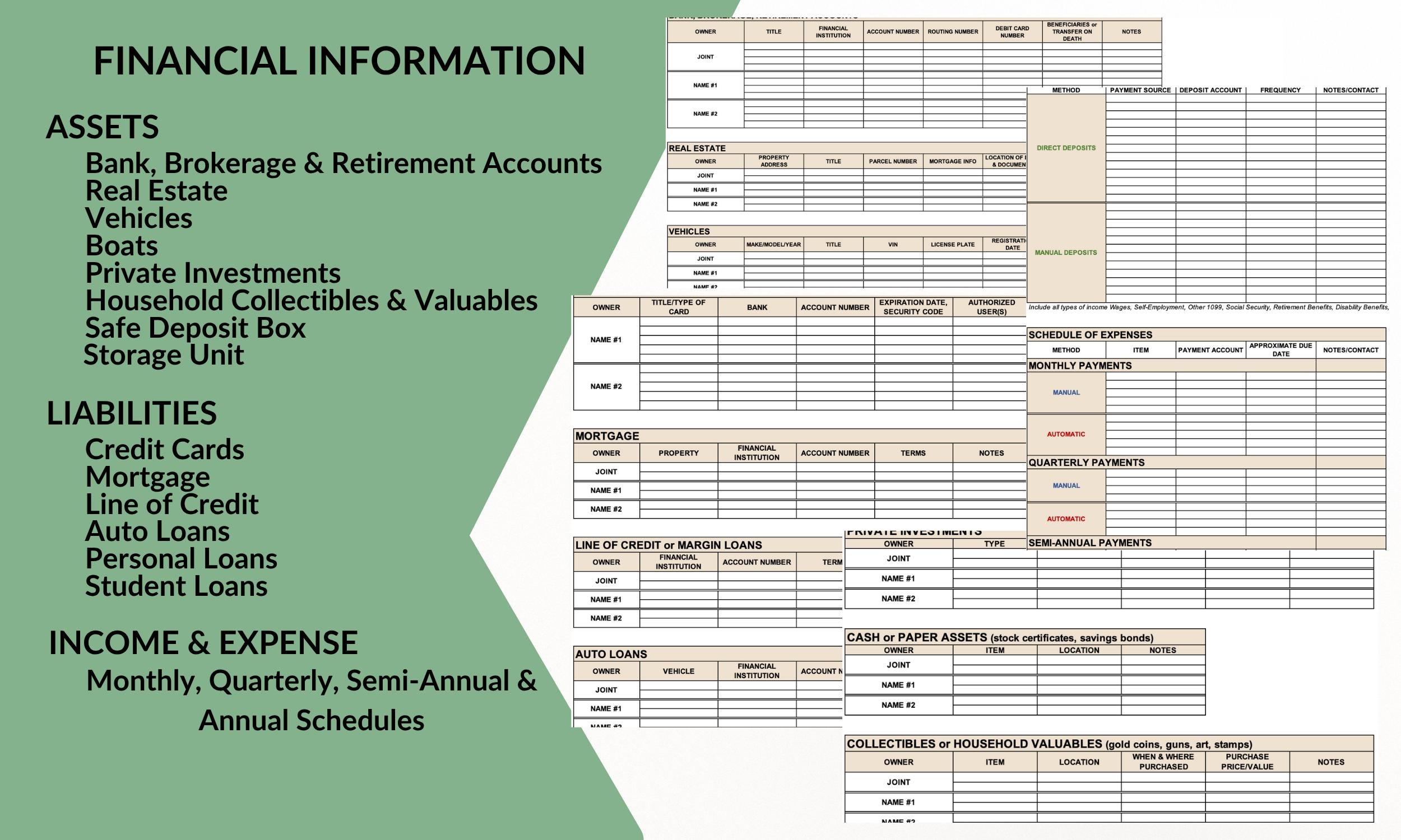 Life Affairs Organizer: Digital Excel Spreadsheet | Financial, Medical ...