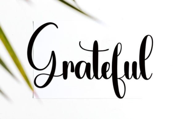 The Jungle Font, Thin Duo Font, Cricut Fonts, Casual Font, Modern Font ...