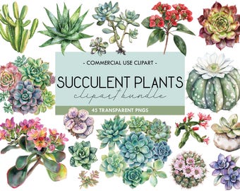 Watercolor Succulent Plants Clipart: Cactus PNG Graphics (digital ...