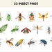 Watercolor Insects Clipart: Bug Illustrations, Transparent PNG (digital ...