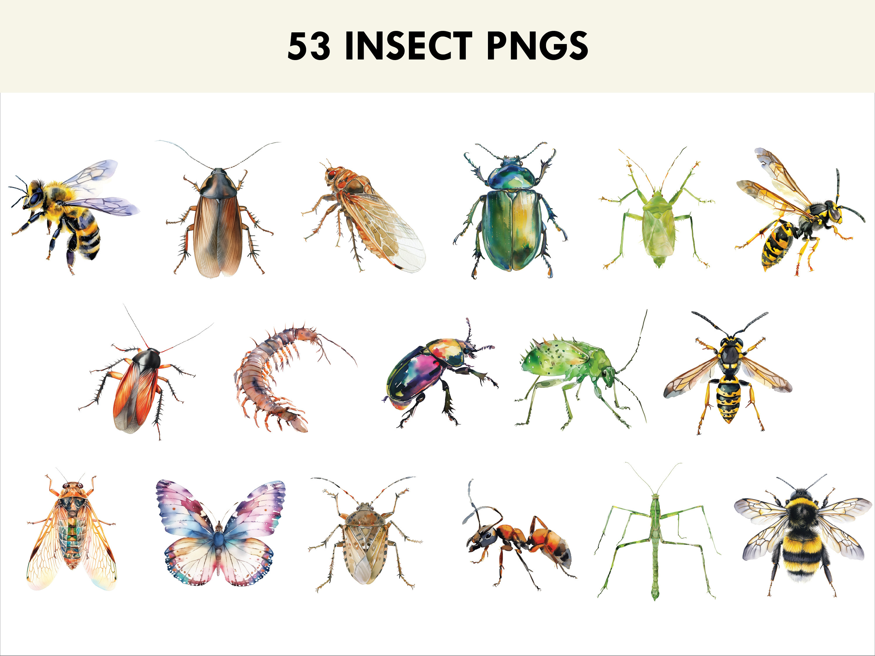 Watercolor Insects Clipart: Bug Illustrations, Transparent PNG (digital ...