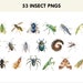 Watercolor Insects Clipart: Bug Illustrations, Transparent PNG (digital ...