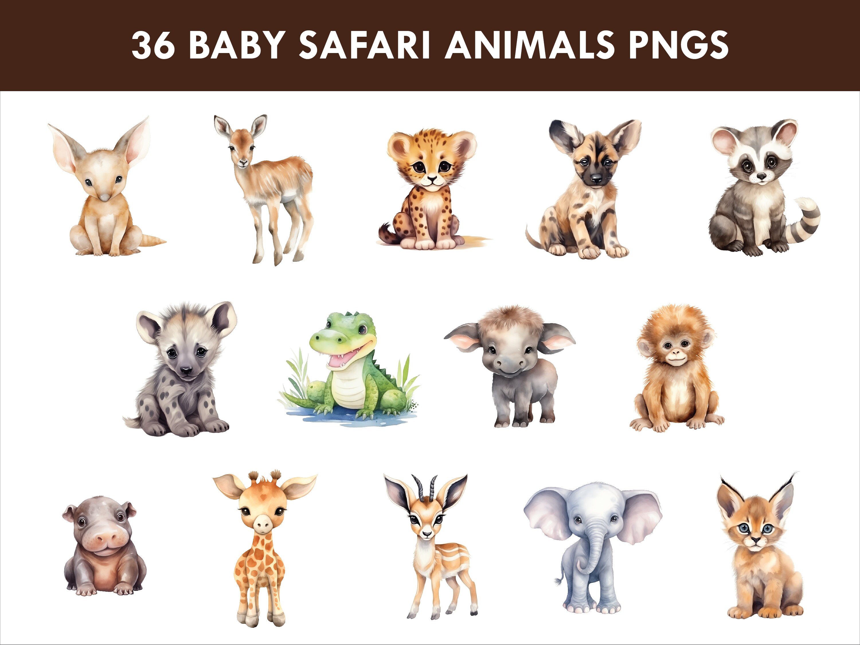 Baby Safari Animals Watercolor Clipart: Jungle PNG Illustrations ...