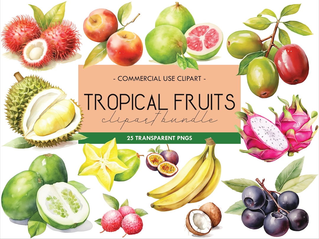 Watercolor Tropical Fruits Clipart: Exotic PNG Graphics (commercial Use ...