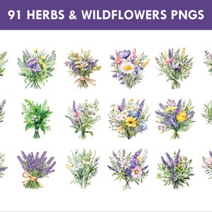 Herbs & Wildflowers Watercolor Clipart, Herb Plants, Wildflower Art ...