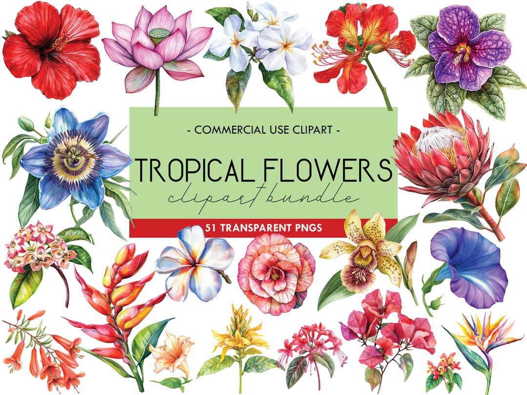 Tropical Flowers Watercolor Clipart, Botanical Graphics, Wedding Floral ...