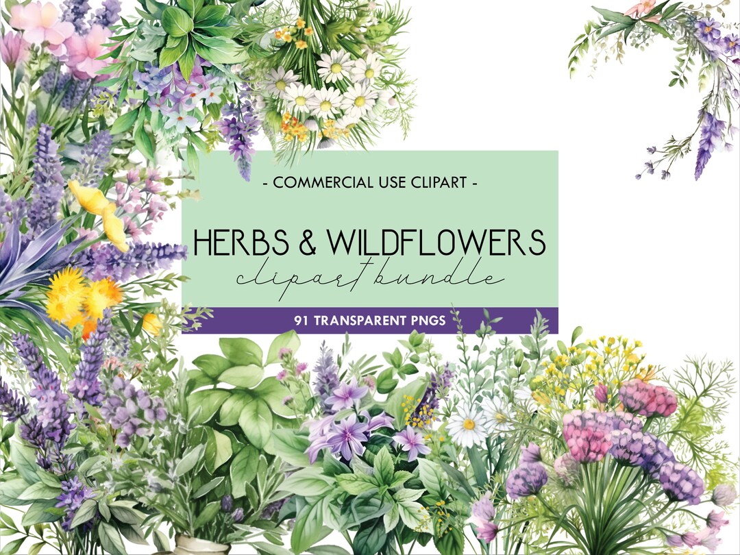Watercolor Herbs & Wildflowers Clipart: 91 Floral Pngs (digital ...