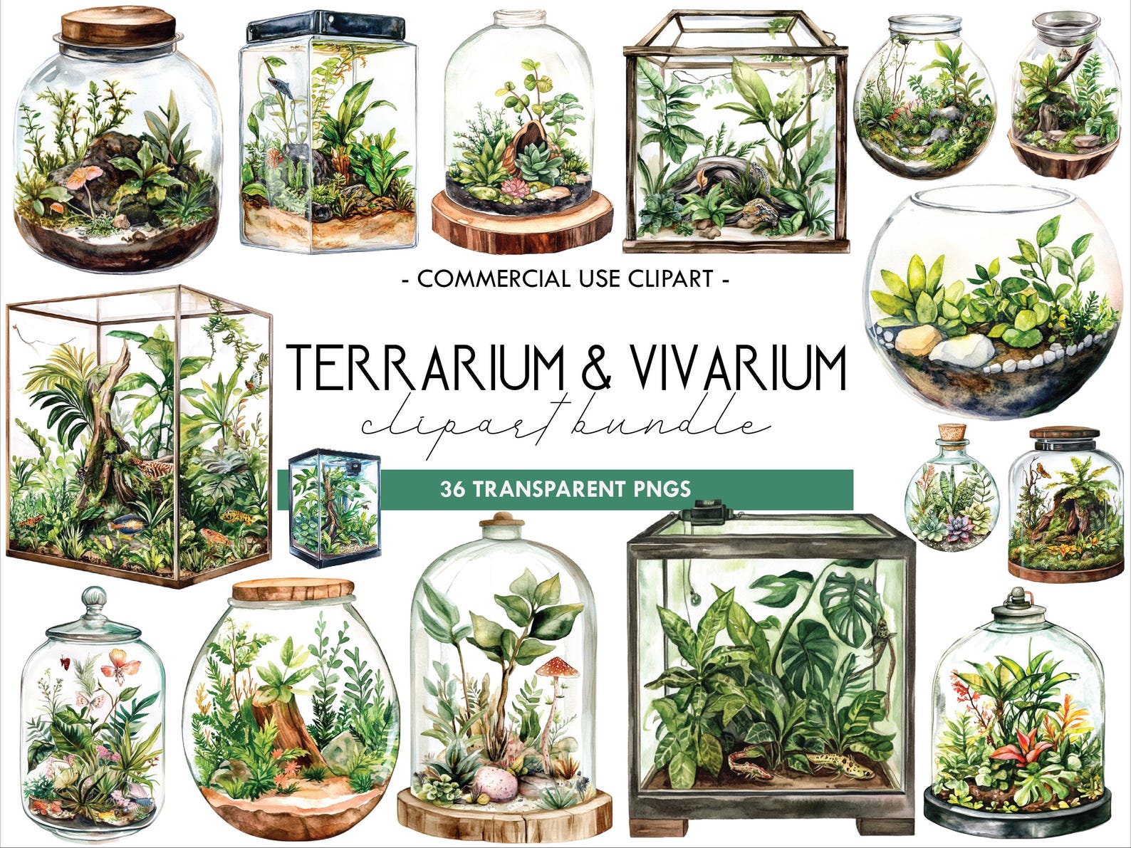 Watercolor Terrarium Clipart: Garden Snow Globe PNG Graphics (digital ...