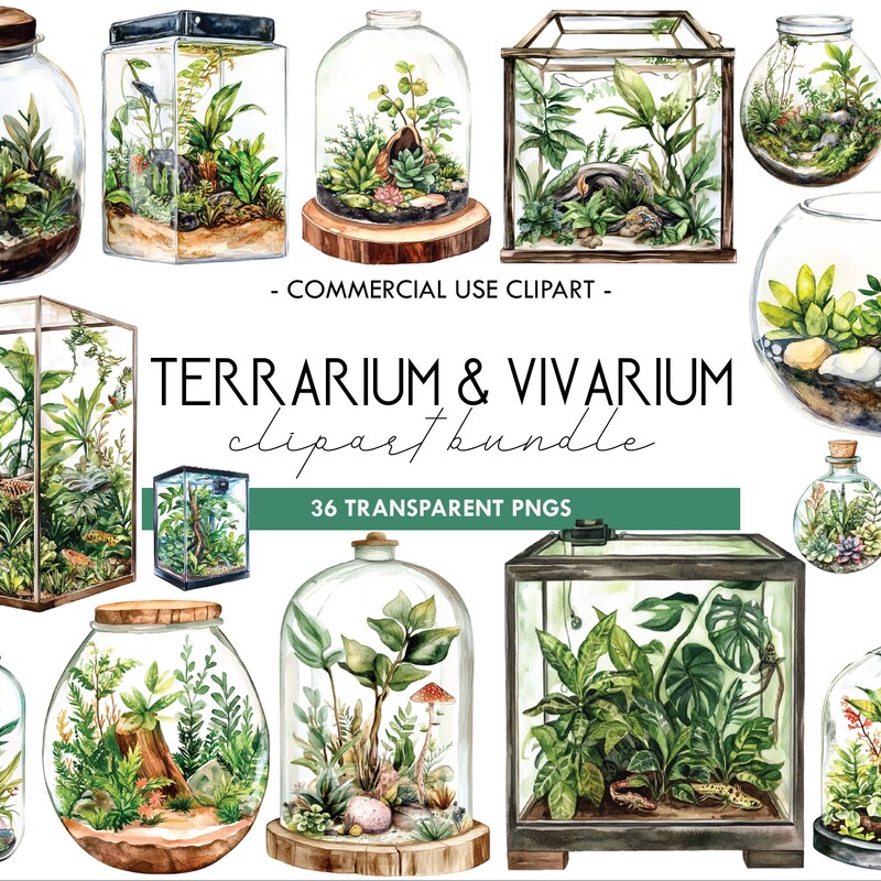 Wardian Case - Etsy - Page 2