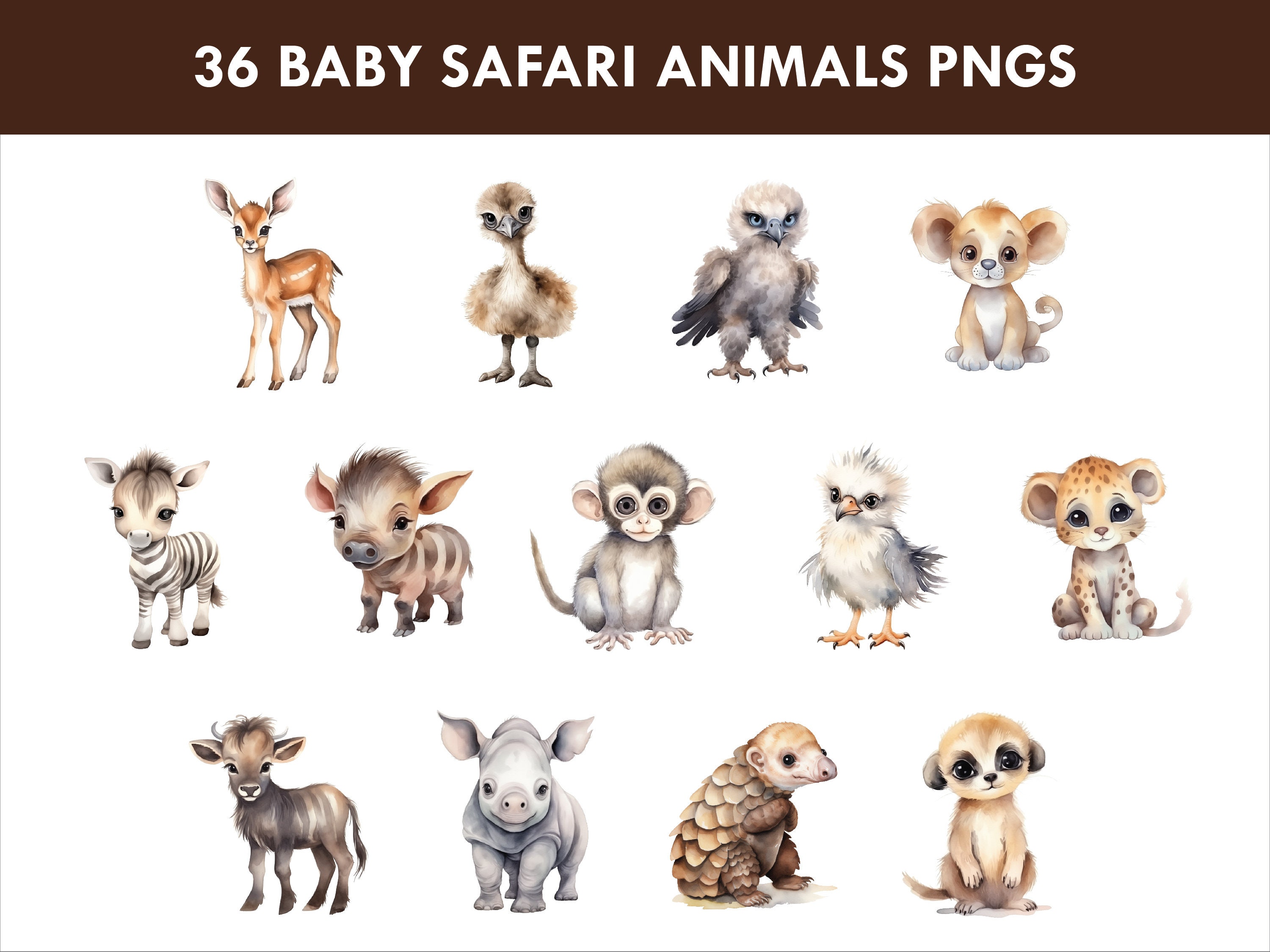 Baby Safari Animals Watercolor Clipart: Jungle PNG Illustrations ...