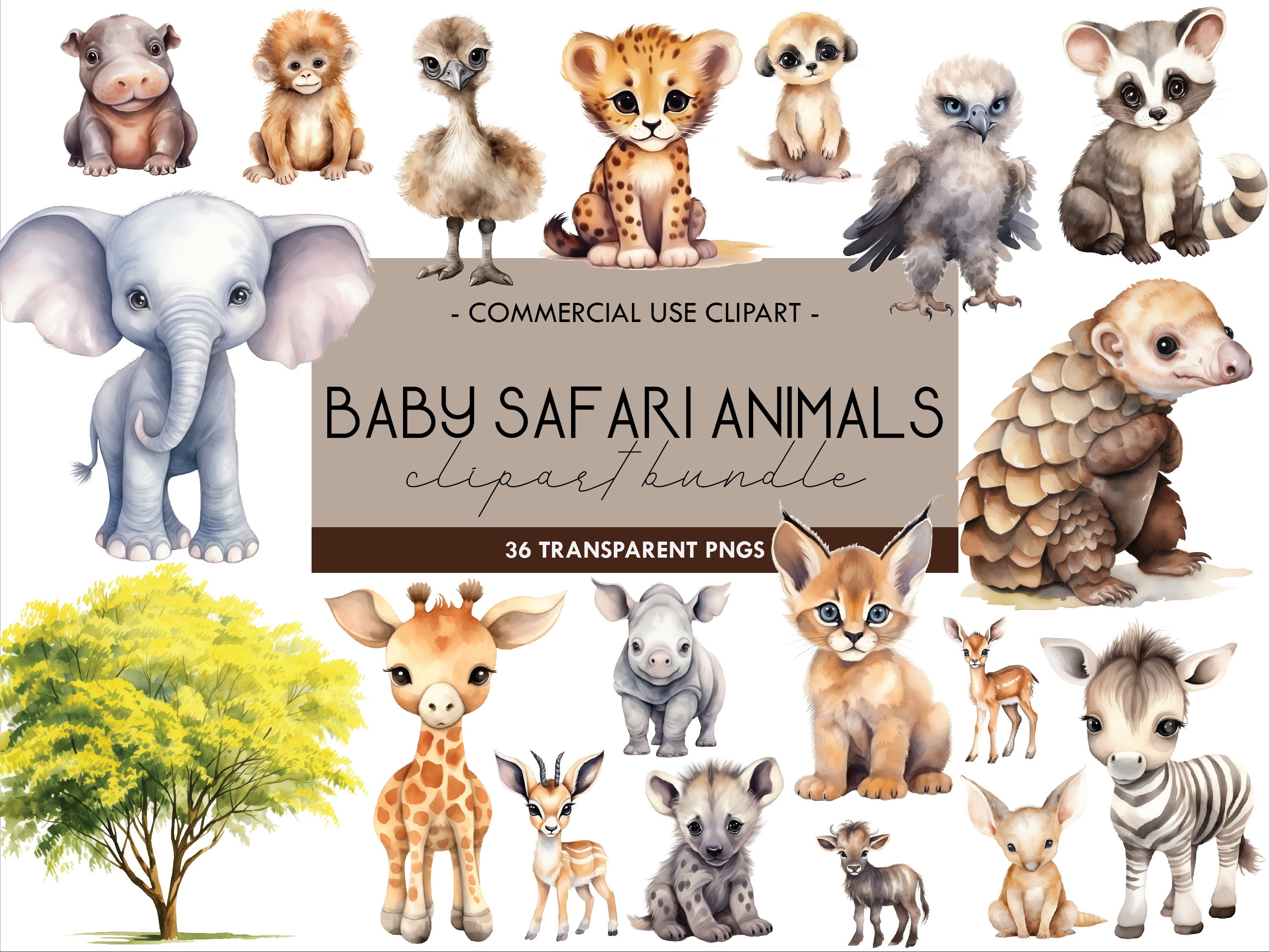 Baby Safari Animals Watercolor Clipart, Jungle Animal Illustrations ...