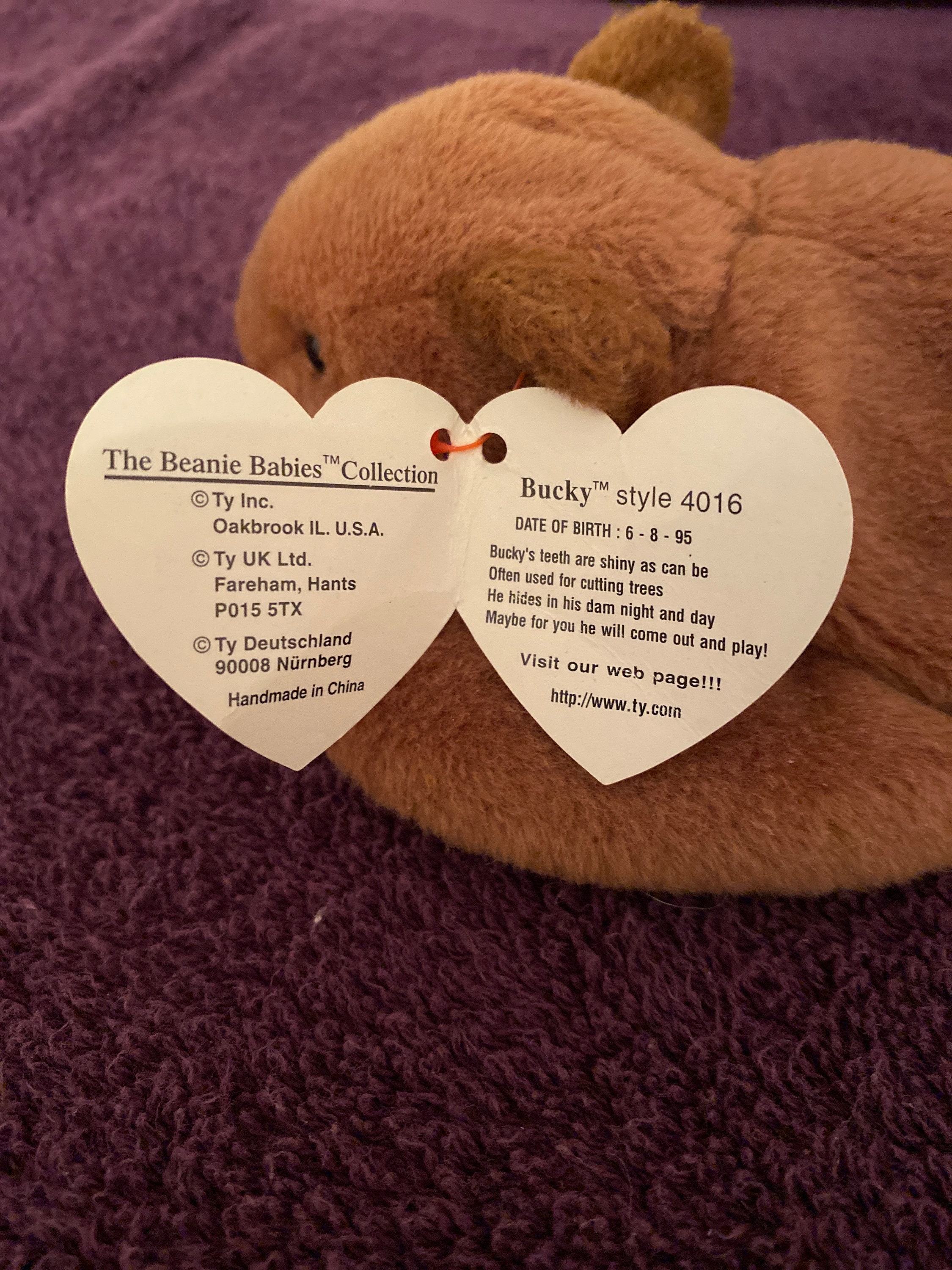 Vintage TY Beanie Babies Bucky the Beaver, Style Number 4016, Retired ...