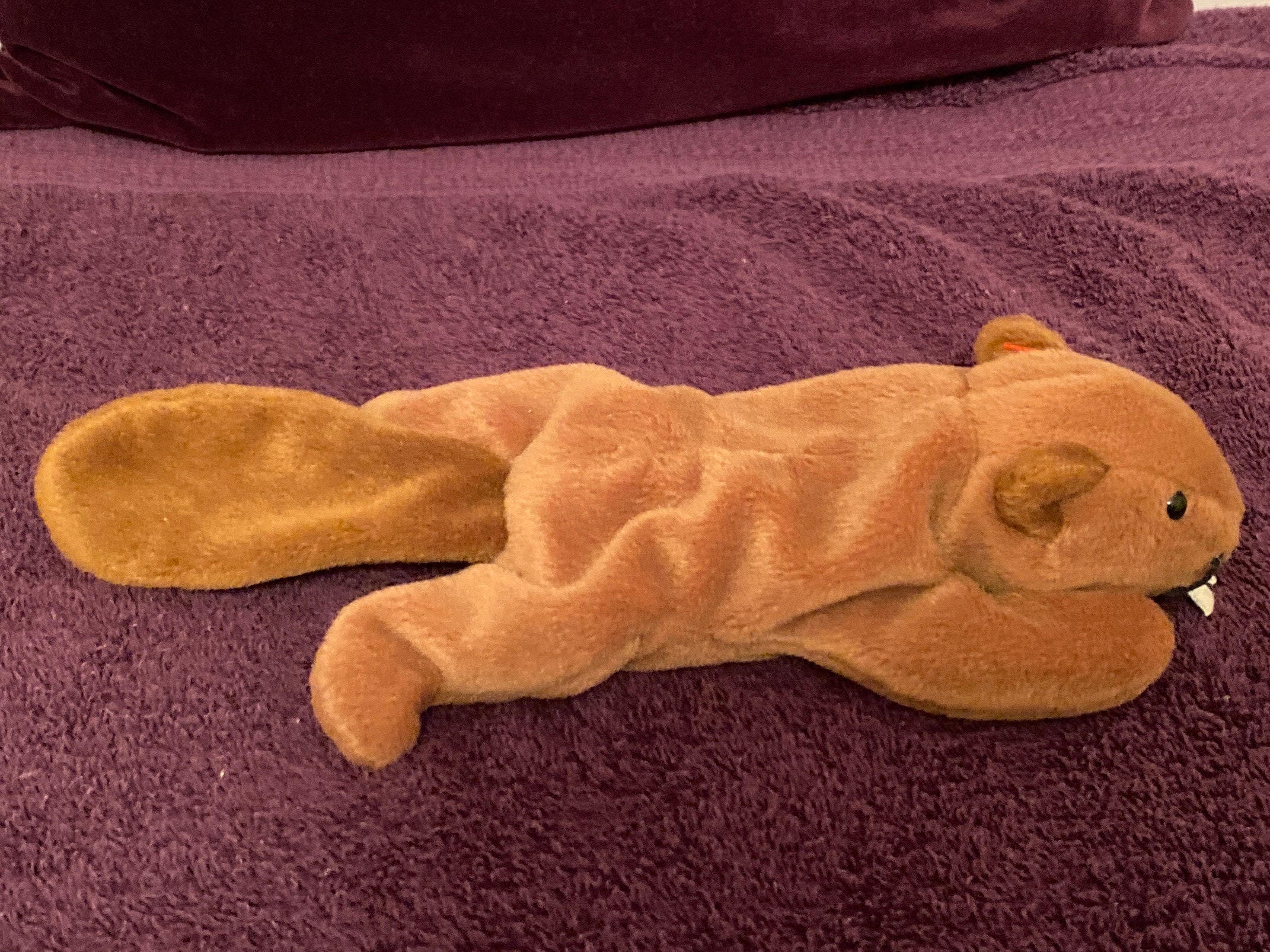 Vintage TY Beanie Babies Bucky the Beaver, Style Number 4016, Retired ...