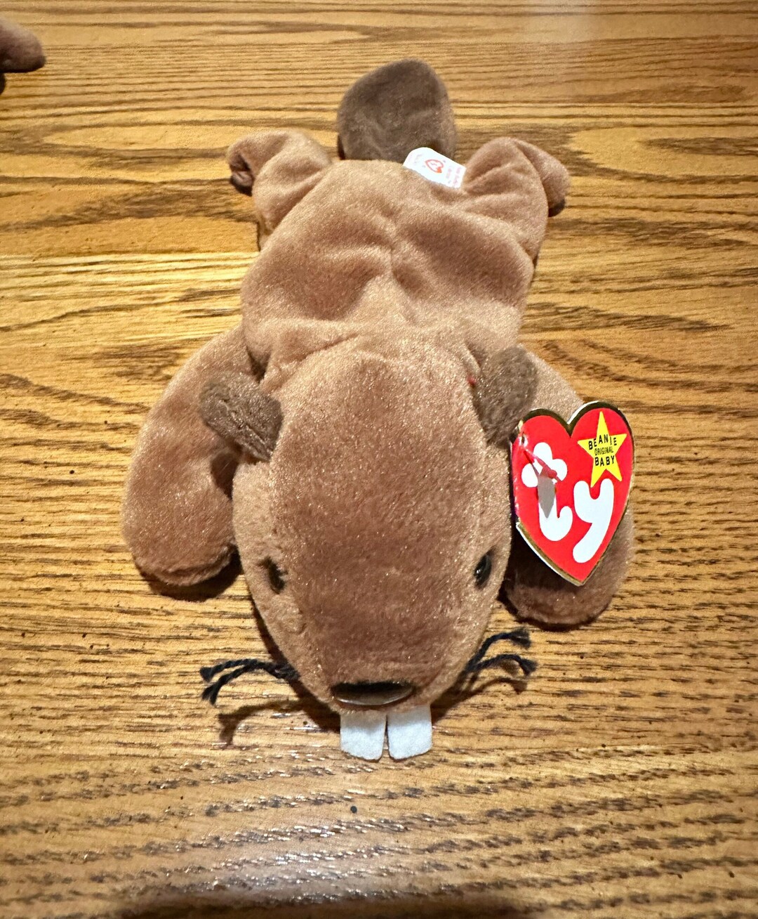 Vintage TY Beanie Babies Bucky the Beaver, Style Number 4016, Retired ...