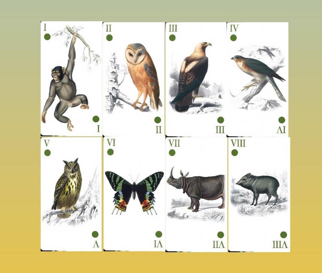Reincarnation Tarot, 62 Unique Cards, Vintage Deck, Printable Tarot ...