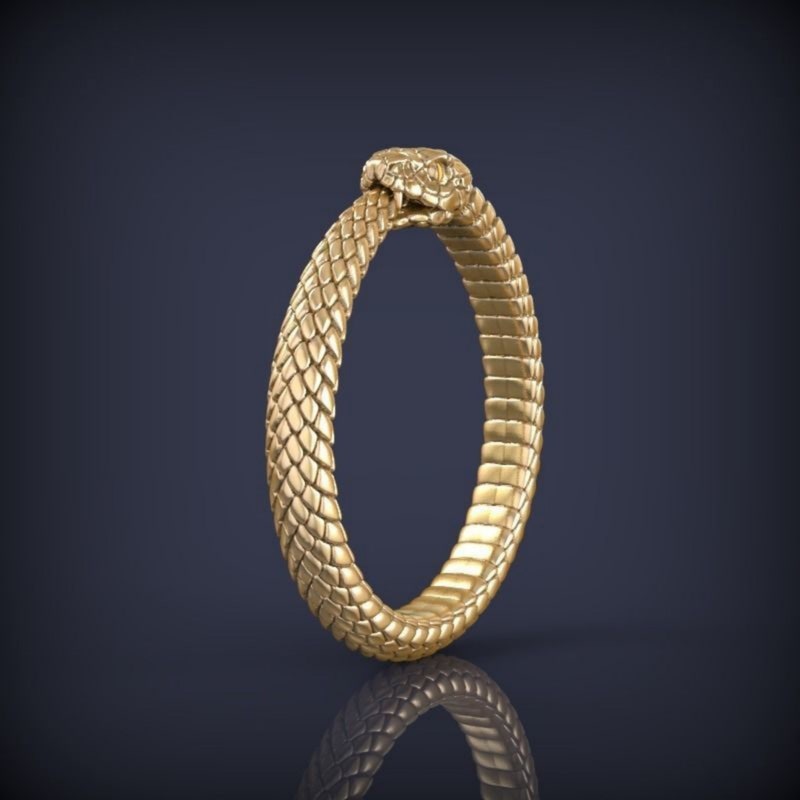 Ouroboros Ring - Etsy