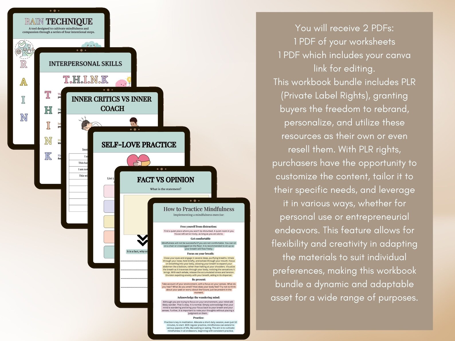 DBT Workbook Bundle: Emotional Regulation, Mindfulness Skills (canva ...