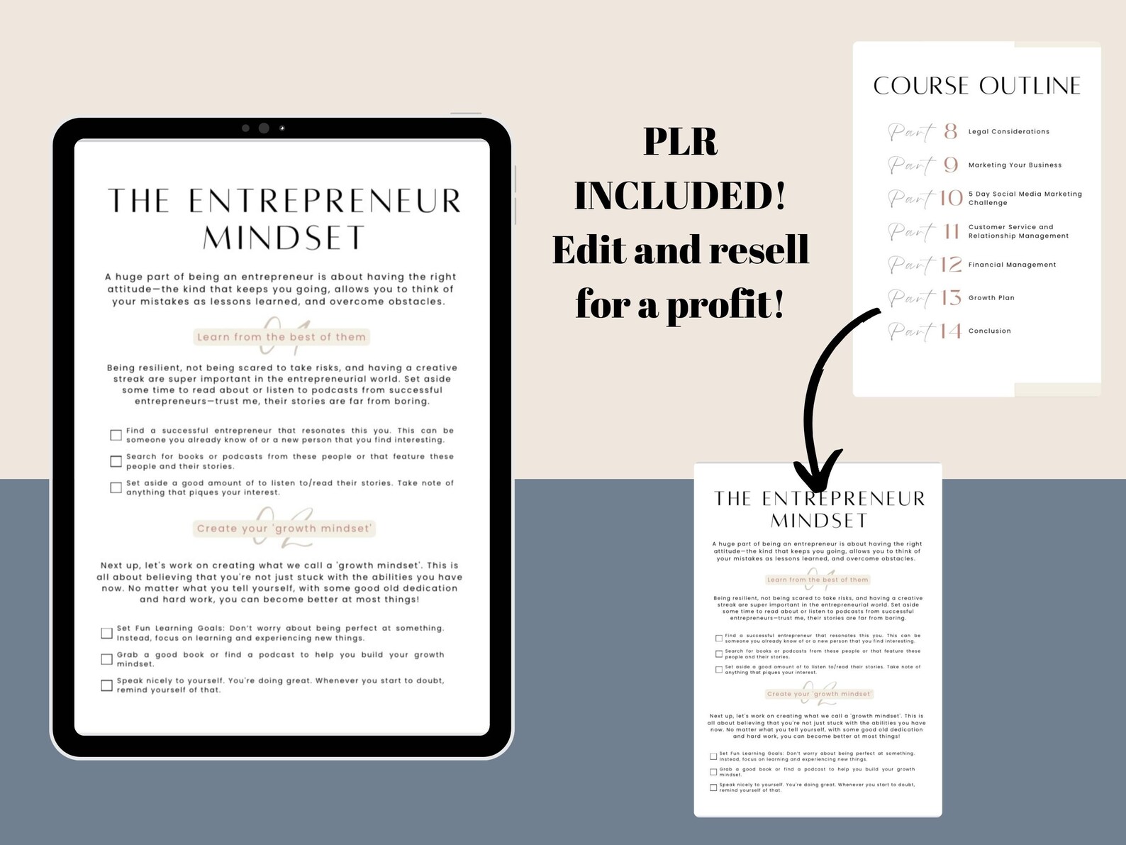 PLR Done for You Ebook, How to Start an Online Business Ebook, Canva ...