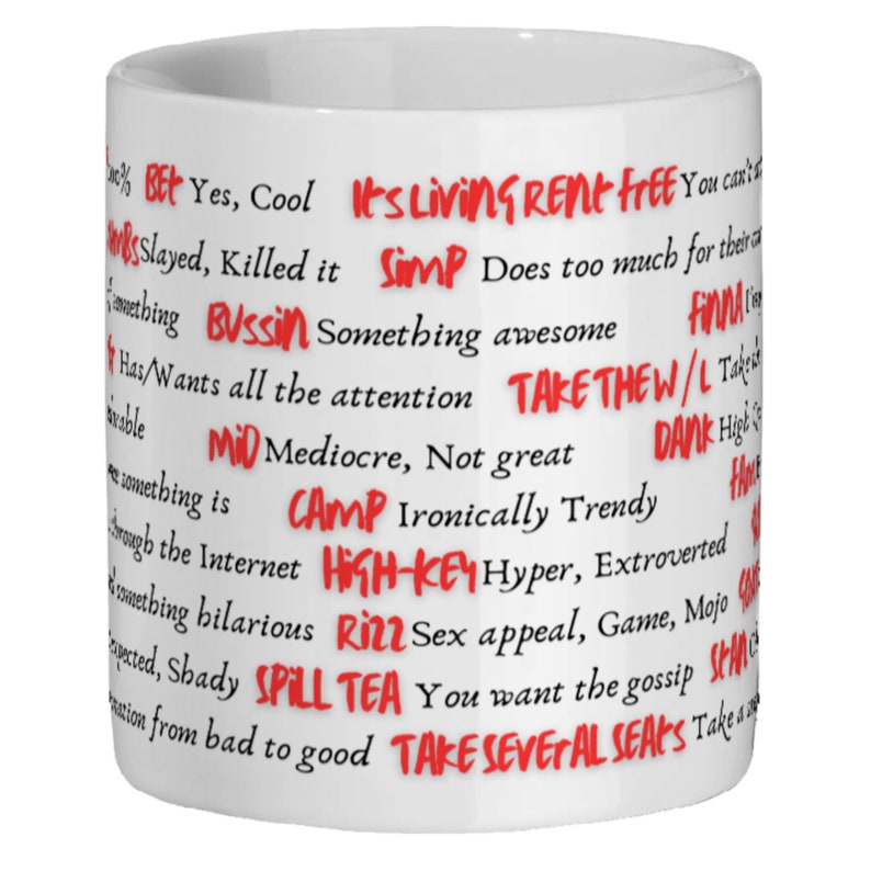 Gen-z Slang Mug, Gen-z Dictionary Gift, Mug for Boomers, Millennials ...
