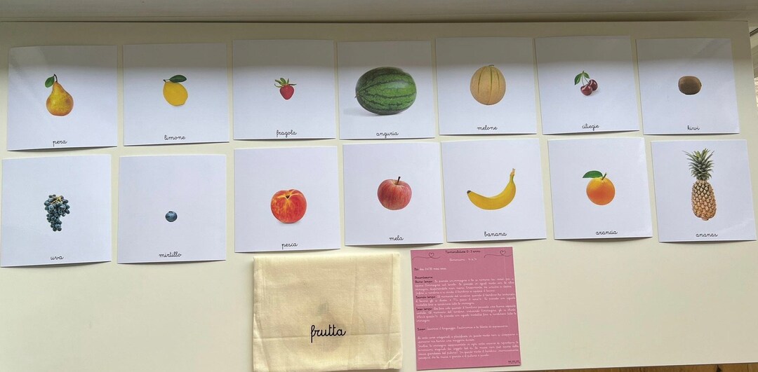 Montessori Fruit Nomenclature - Etsy