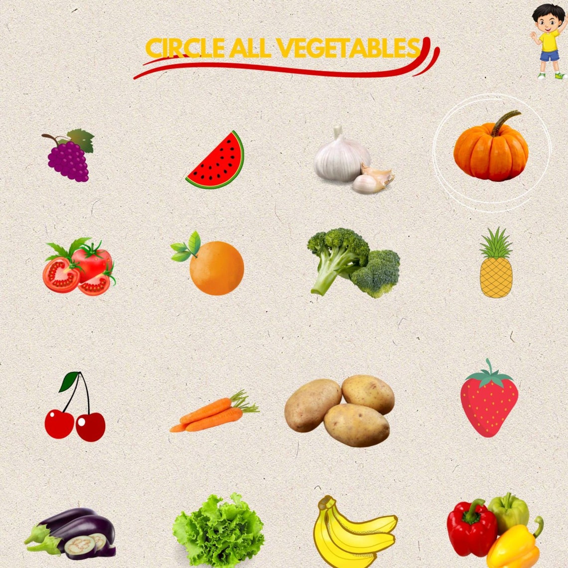 Vegetables and Fruits Sorting Activity, Vegetables Worksheets - Etsy