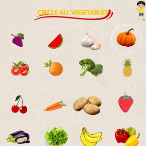 Vegetables and Fruits Sorting Activity, Vegetables Worksheets - Etsy