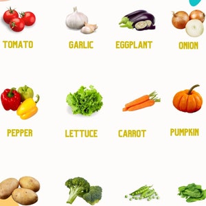 Vegetables and Fruits Sorting Activity, Vegetables Worksheets - Etsy