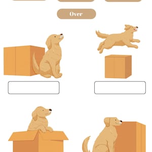 Prepositions of Place Worksheets: ESL Grammar Practice (digital ...