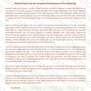 Editable Matted Pet Release Form for Dog Groomers | Canva Template ...