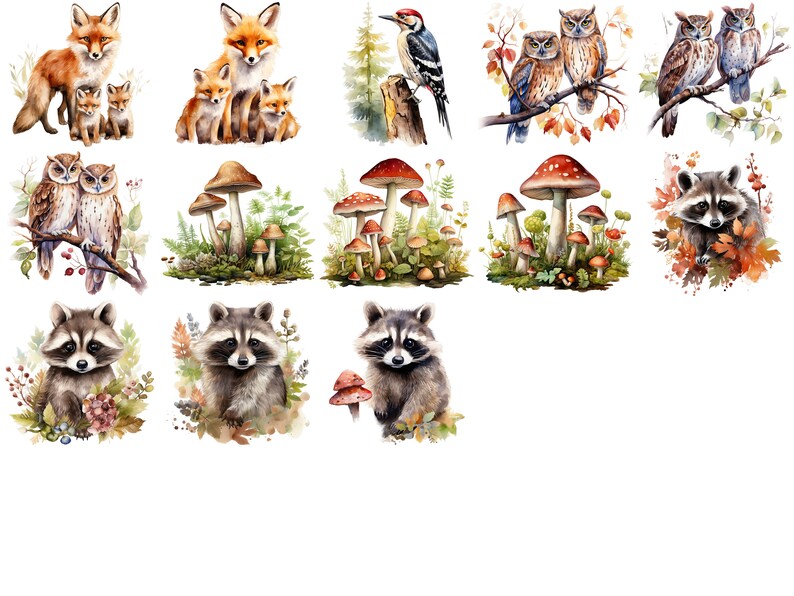 Watercolor Woodland Animals Clipart, Nursery Clipart Bundle, Woodland ...