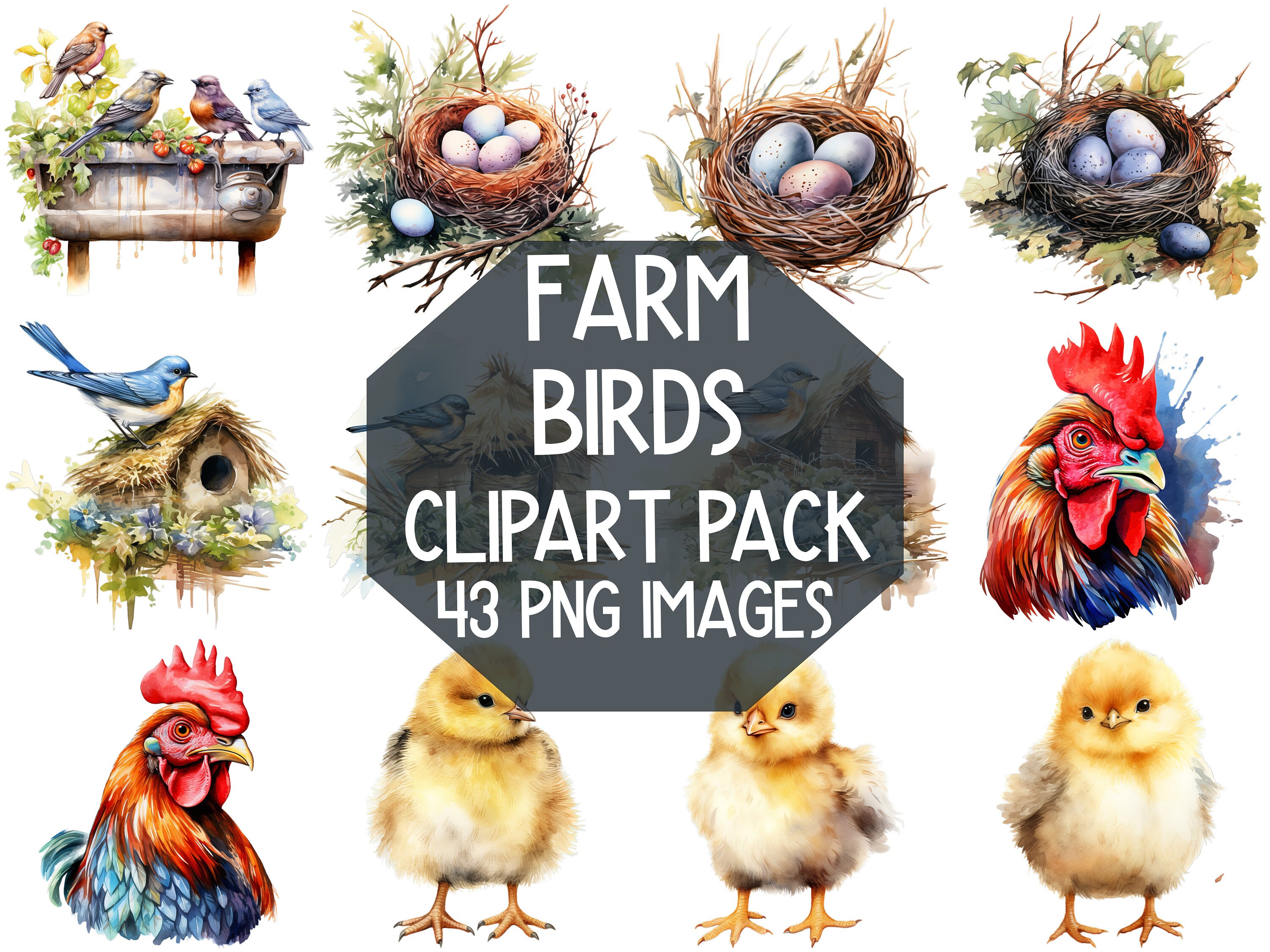 Farm Birds Clipart Bundle: Watercolor Roosters, Chickens, Ducks ...