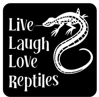 Gecko Lizard Reptile T-shirt: Live Laugh Love Reptiles - Etsy
