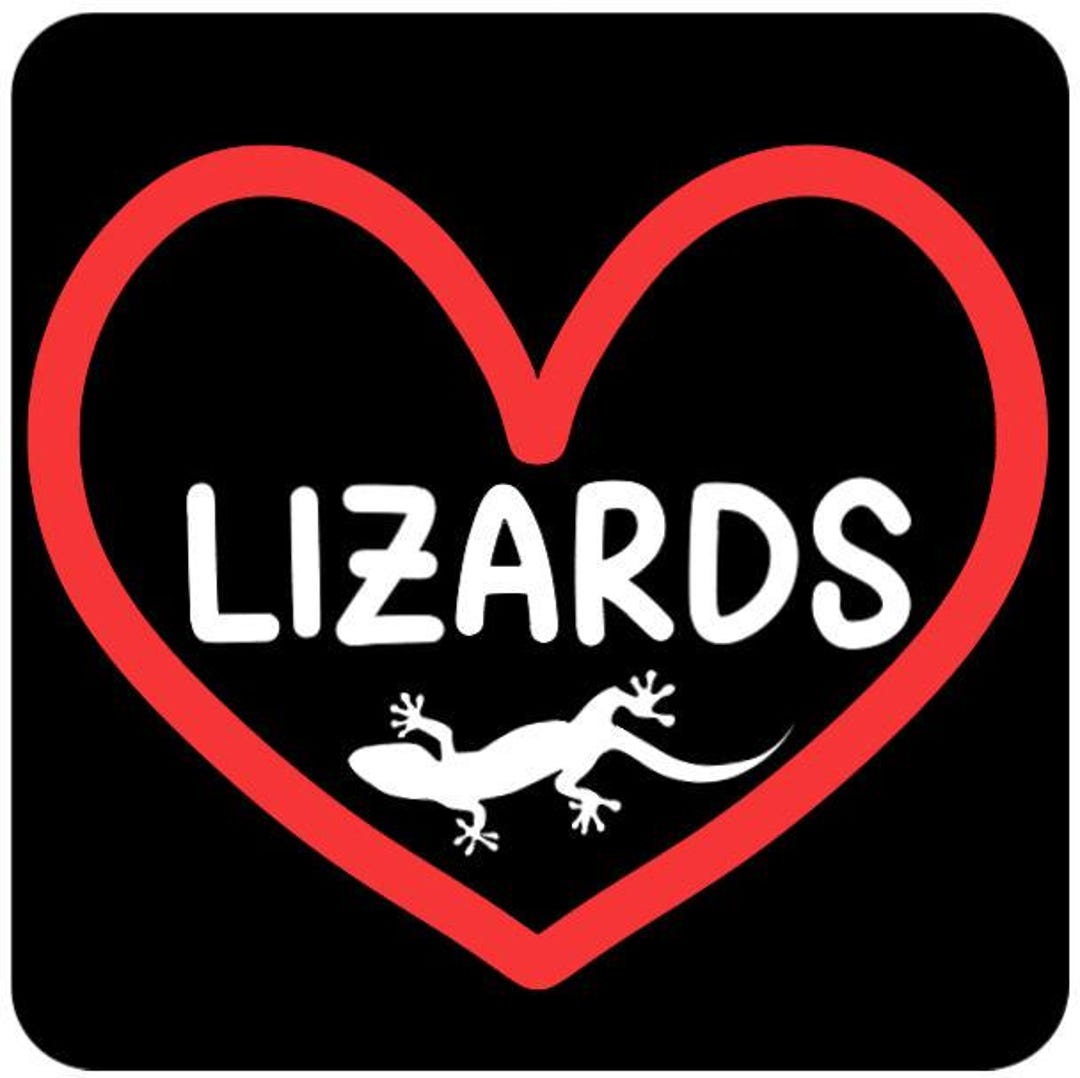 Gecko Lover T-shirt: Love Lizards - Etsy