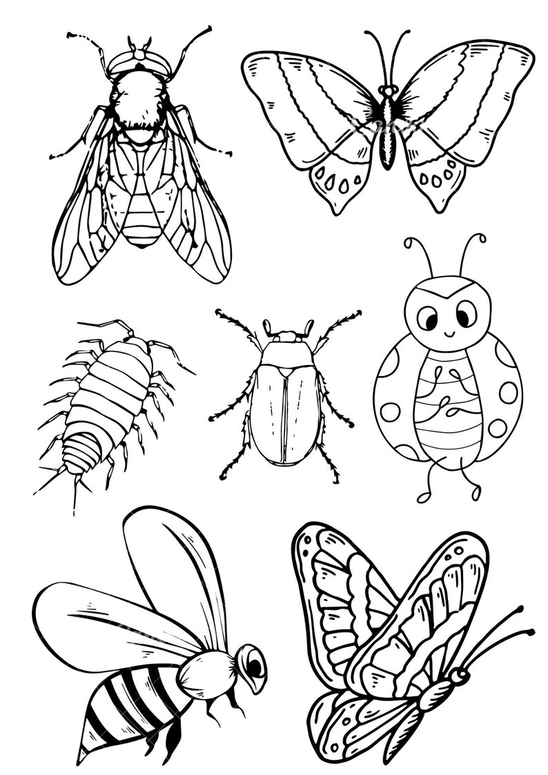 Insects and Butterfly Coloring Page, Printable Coloring Pages for ...