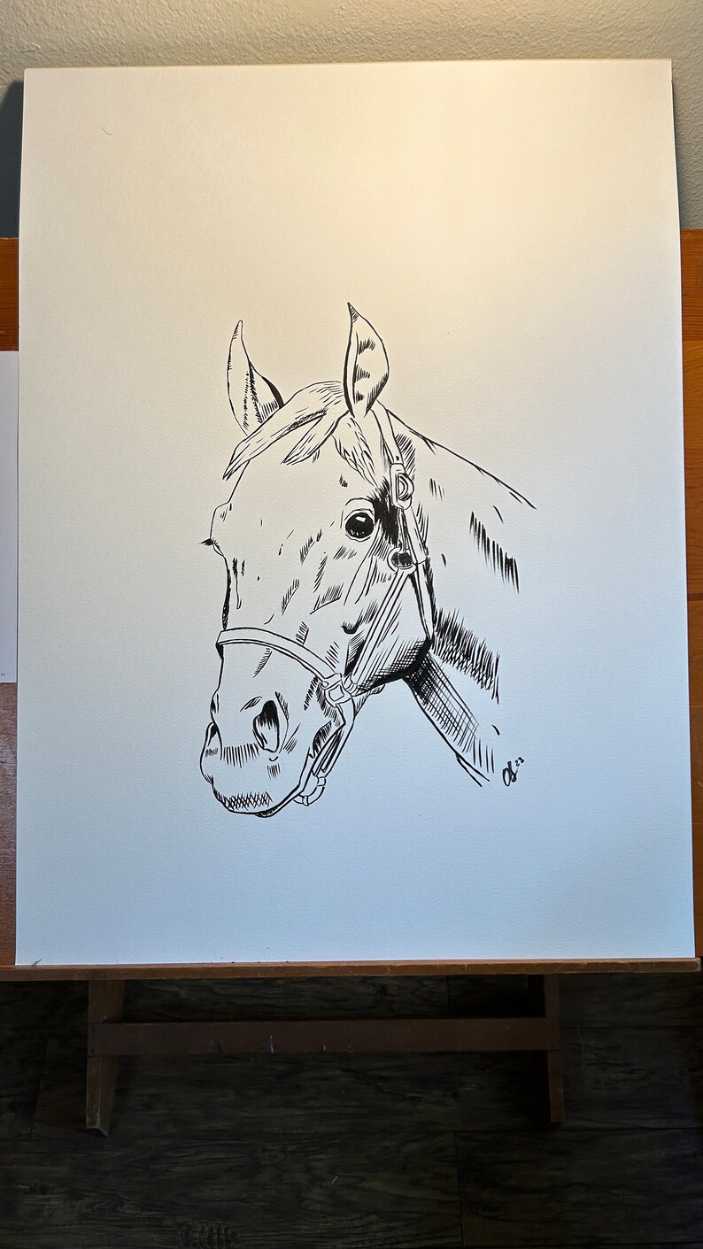 Caballo Original Pen and Ink Drawing - Etsy