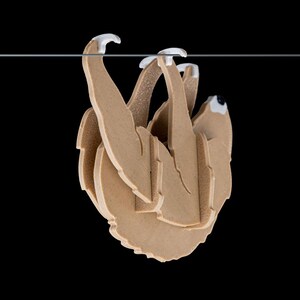 3D Printed Sloth Kit Card Model: Customizable Colors, Compact ...