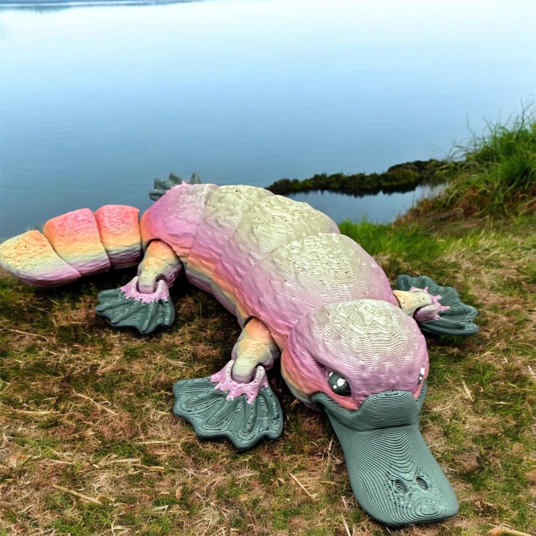 Adorable Platypus Toy - 3D Printed Flexible Animal Figure ...
