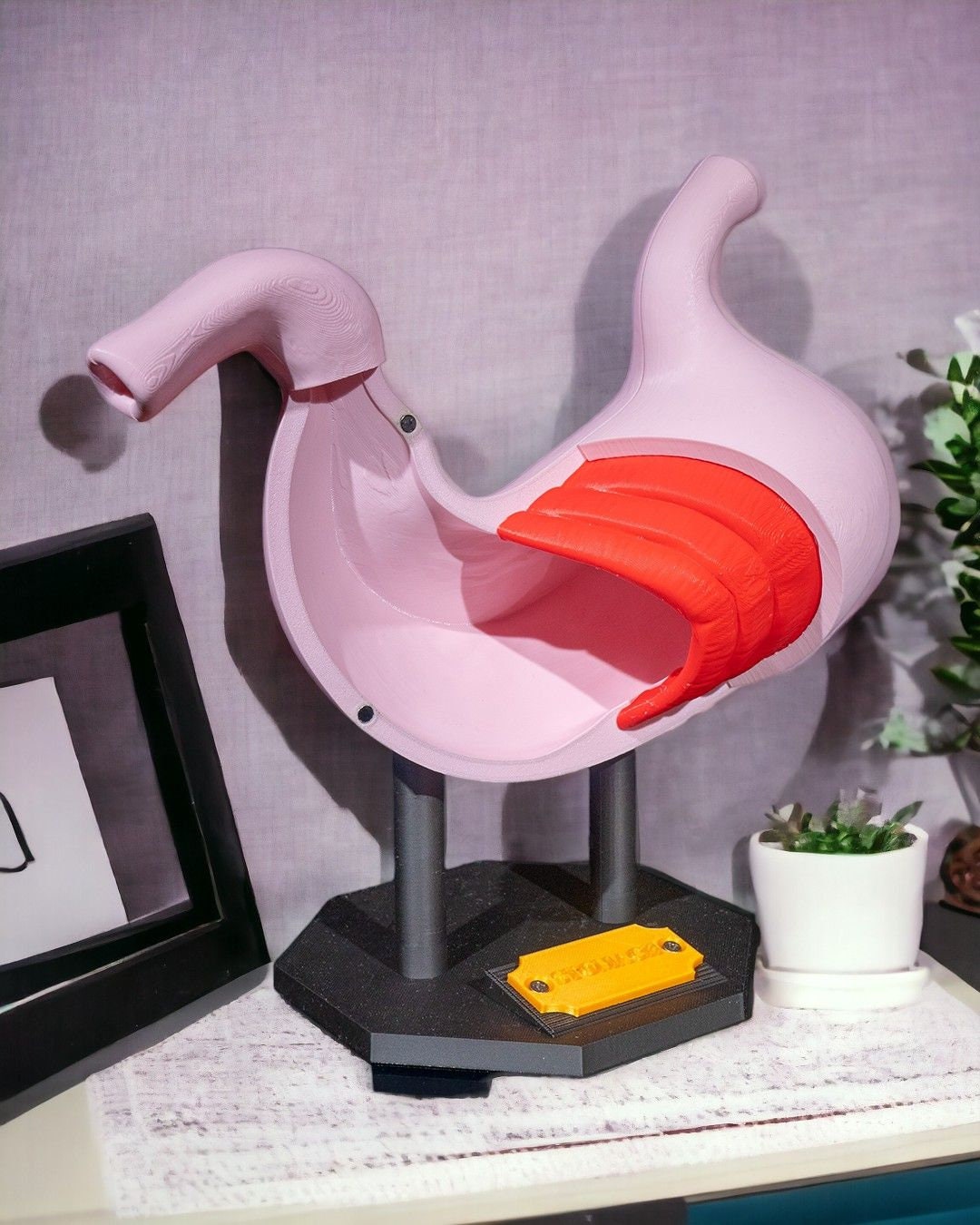 High-quality 3D Printed Stomach Model - 24.5cm | Anatomical Learning ...