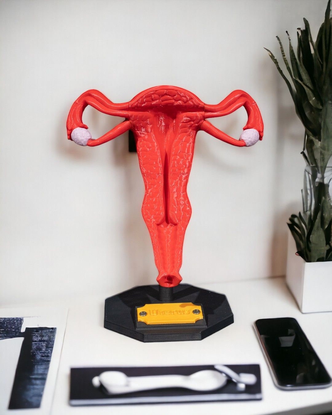 Female Uterus Model 3D Print | High Quality Reproductive System Replica for Education & Medical ...