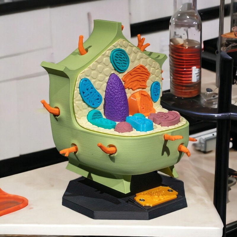 3d Plant Cell Model - Etsy