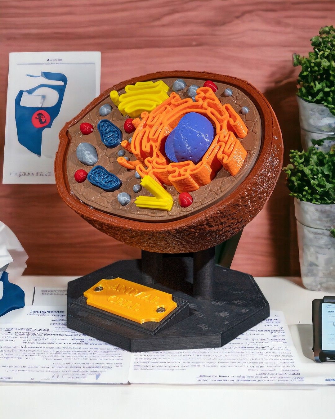 3D Printed Animal Cell Model: STEM Education Display - Etsy