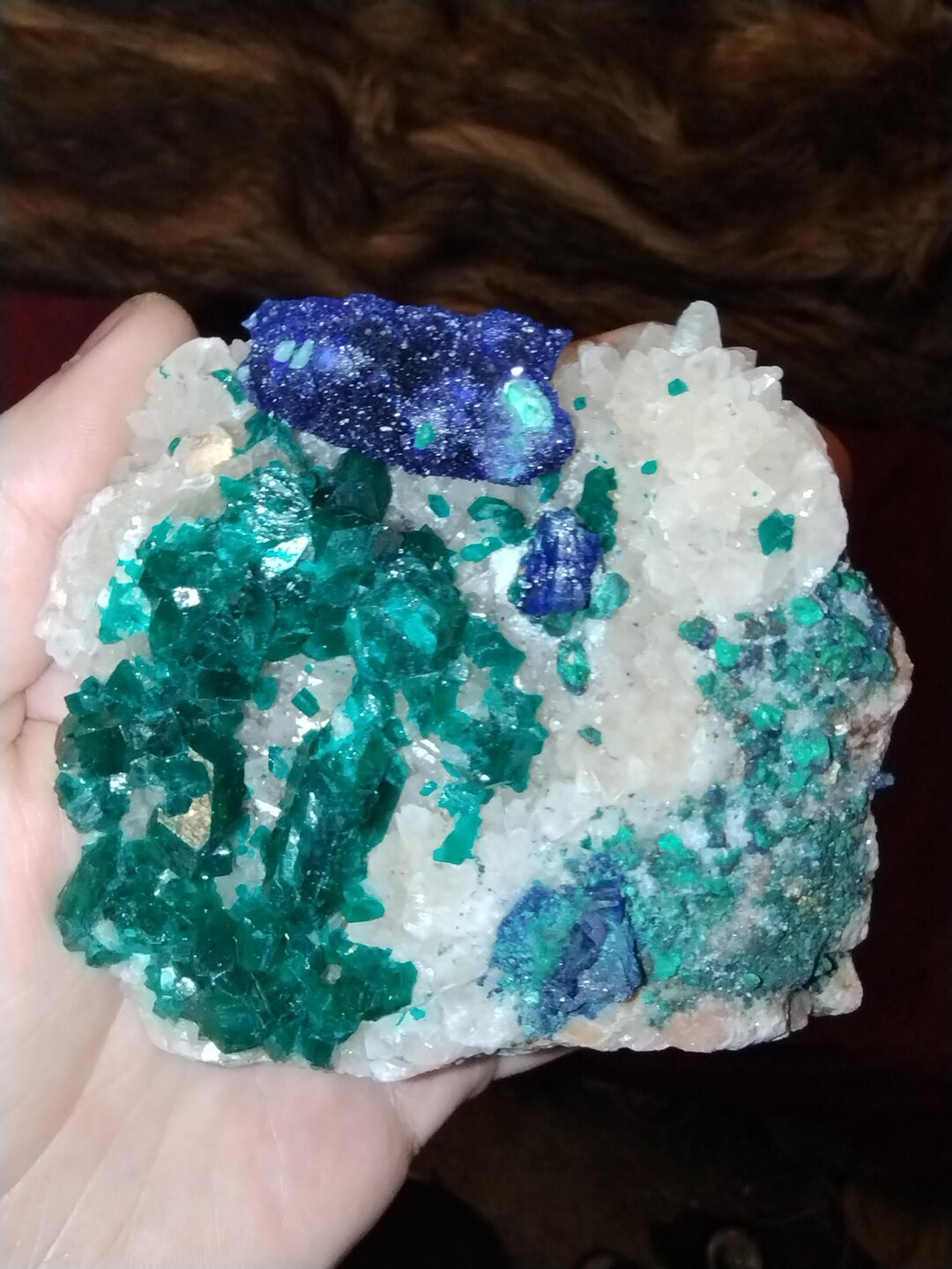 Rare Dioptase and Azurite on Quartz Matrix Cabinet Specimen 3030 Carats ...