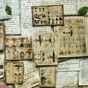 Toadstool Tales: Vintage Fungi Pages, Mixed Media Whimsical Mushrooms ...