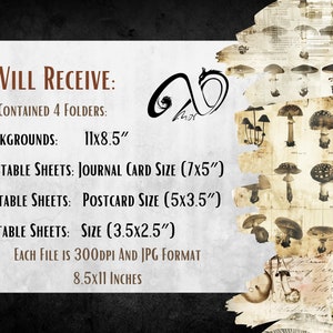 Toadstool Tales: Vintage Fungi Pages, Mixed Media Whimsical Mushrooms ...