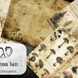 Toadstool Tales: Vintage Fungi Pages, Mixed Media Whimsical Mushrooms ...