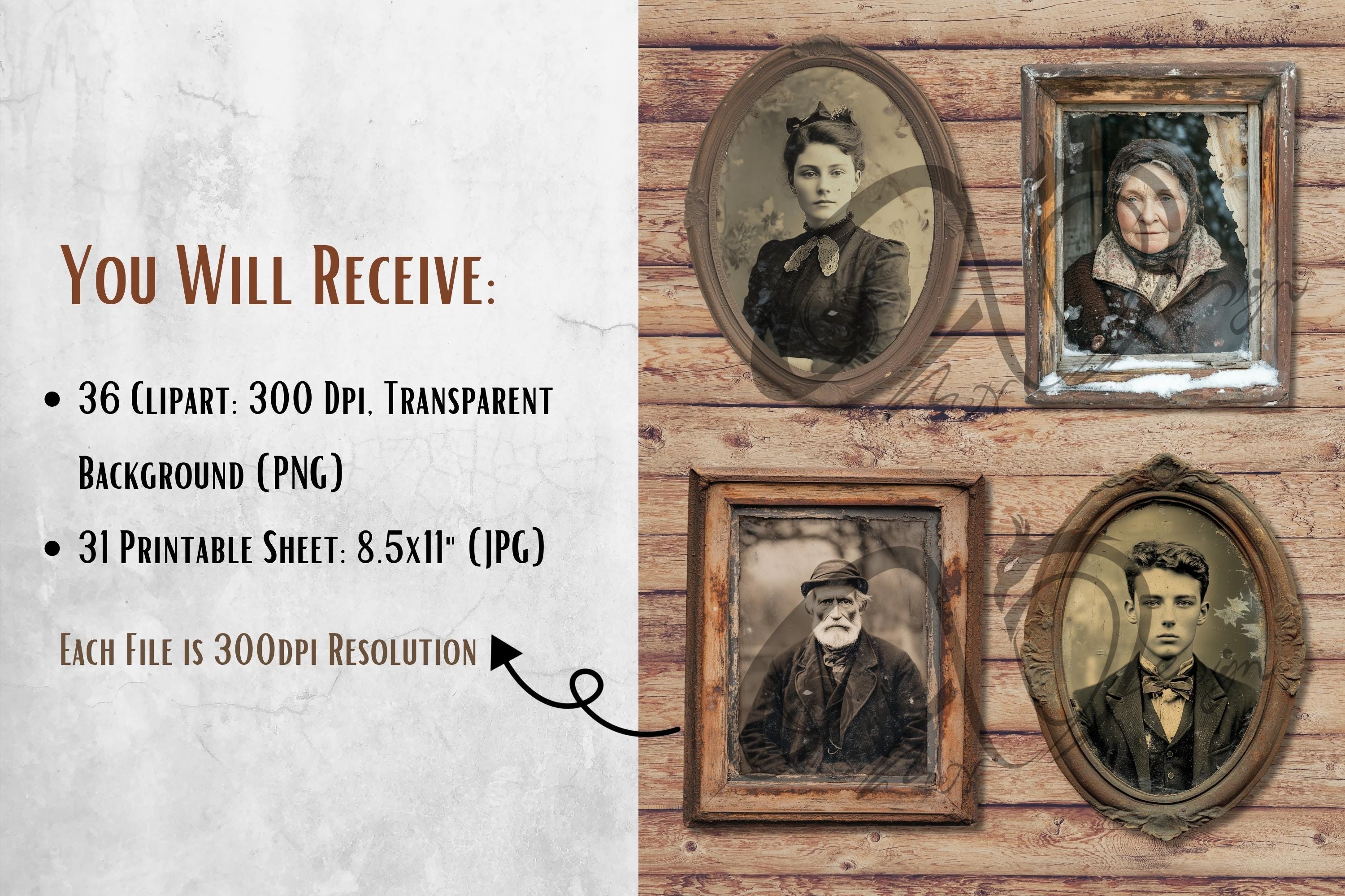 Vintage Photo Frame Clipart: Antique Portrait Frames (digital Download ...