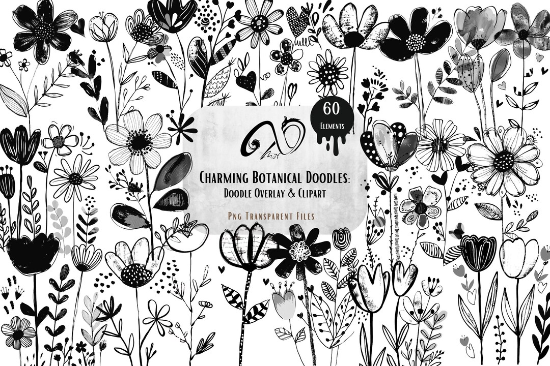 Botanical Doodles: Floral Clipart, Line Art Overlays, Botanical Png ...