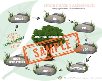 EMDR Assessment Worksheet With Script for Therapists - Phase 3 - Etsy