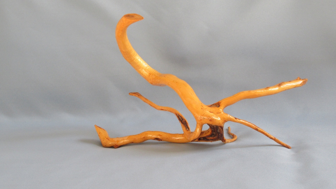 Startled Bird - Etsy